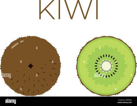 Vector Of Kiwi And Sliced Half Of Kiwi On White Background Stock Vector