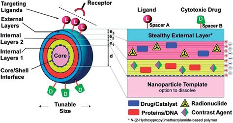 Schematic Depiction Of Nanoparticles Coated With Multilayer Shells As Download Scientific