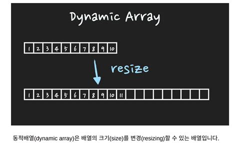 동적 배열 dynamic array