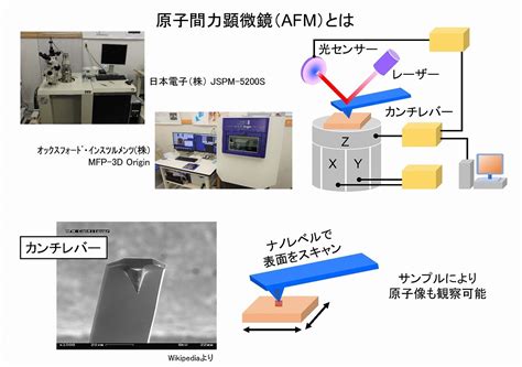 AFMによるフィラー分散状態解析 AC 0023 産総研樹脂やゴム材料等の分析評価に関わる技術情報DB研究者グループ名鑑