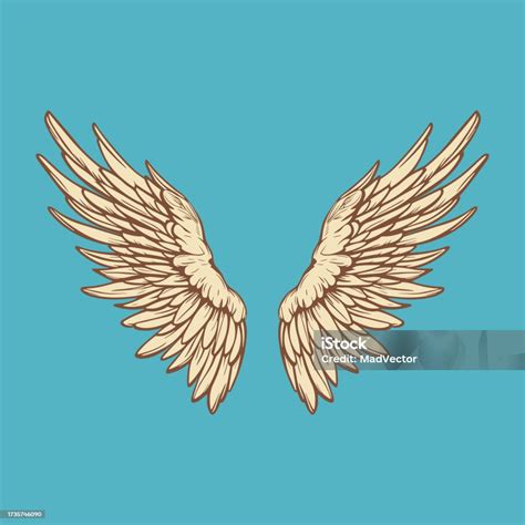 Vector Wings Icon Vintage Angel Wings Icon Design Template Clipart