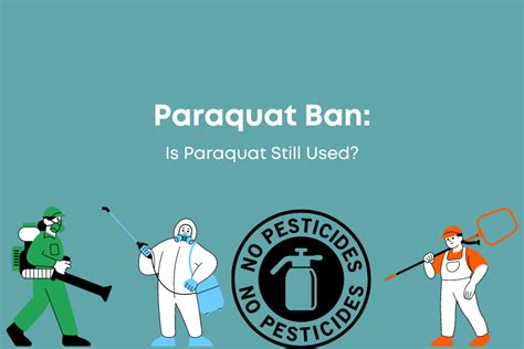 Paraquat Ban Is Paraquat Still Used •