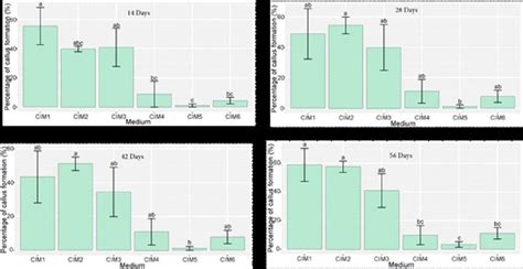Percentage Of Callus Formation Through Indirect Somatic Embryogenesis