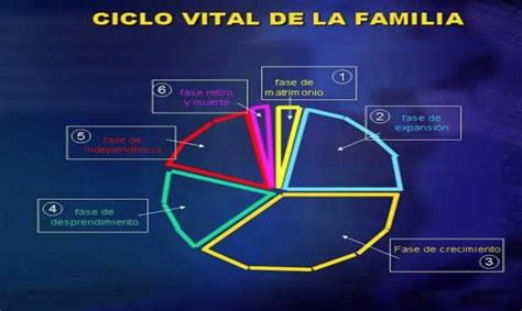 Ciclo Vital De La Familia Familia Ciclo Vital Escuela Vrogue Co