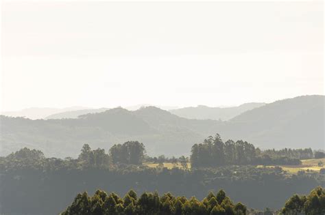 丘陵 树 景观 Pixabay上的免费照片 Pixabay