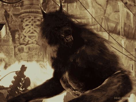 Van Helsing Wolfman Movie Horror Wolf  Trending  On Vif