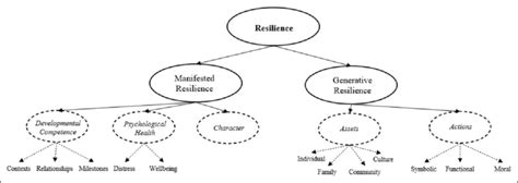 The Multidimensional Taxonomy Of Individual Resilience Download Scientific Diagram