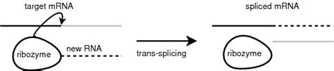 Mit Csail Research Abstracts