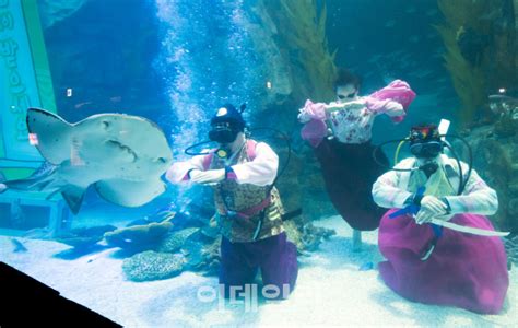 [포토] 롯데월드 아쿠아리움 설 명절 이벤트