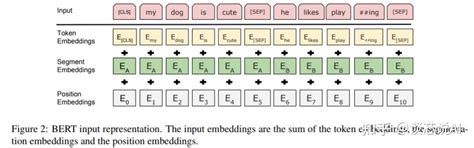 BERT系列模型 知乎