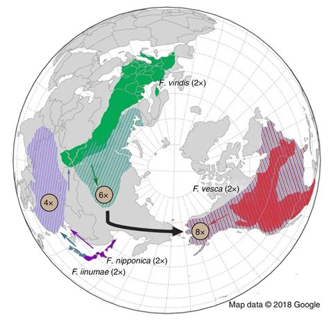 科学网—nature Genetics：八倍体草莓基因组 郝兆东的博文