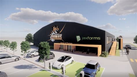 ZO Pumas wollen Platznot endlich besiegen Züriost