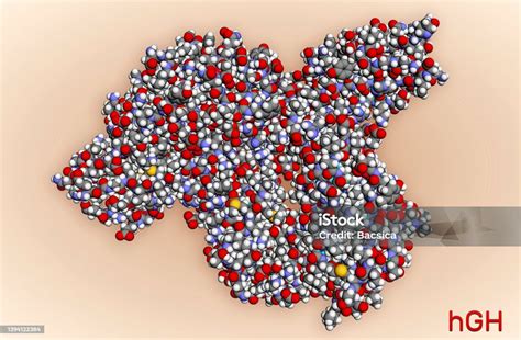 인간 성장 호르몬 Hgh Somatotropin 분자 천연 펩타이드 호르몬 도핑제입니다 호르몬에 대한 스톡 벡터 아트 및 기타