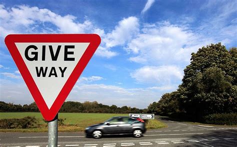 Visual Recognition Tutorial With Ibm Watson And Python Assist Software