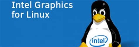 Intel Graphics Compiler 108 Lançado Com Correções Para Llvm E Gcc 9