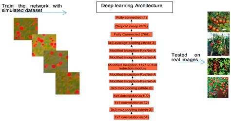 Deep Count Fruit Counting Based On Deep Simulated Learning