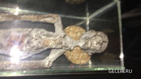 MOMIAS DE NAZCA EVIDENCIA EXTRATERRESTRE? # 1 Gladys Córdova - YouTube
