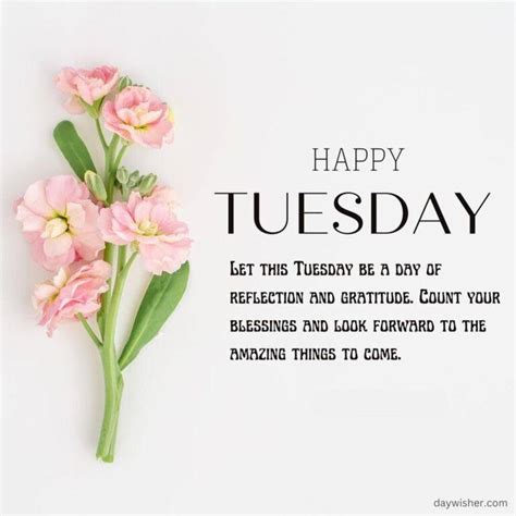 Aunty Annes Corner Of Life Aunty Annes Corner Of Life