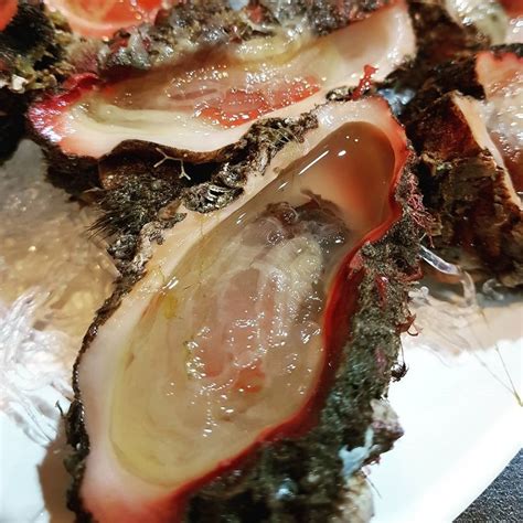 무료배송 통영 활멍게 2kg 외 쭈꾸미 비단가리비 해삼 개불 전복 개불 소라 제철해물모음 티몬
