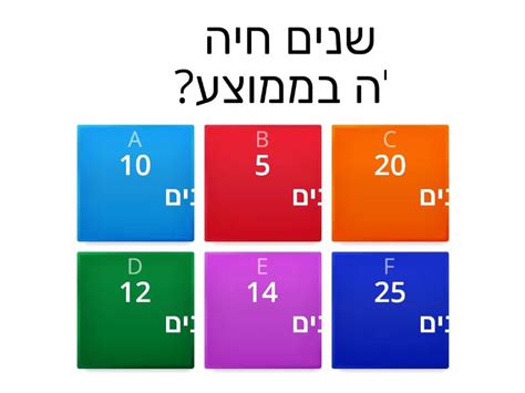 שאלון על הקואלה נועם ואיתי Quiz