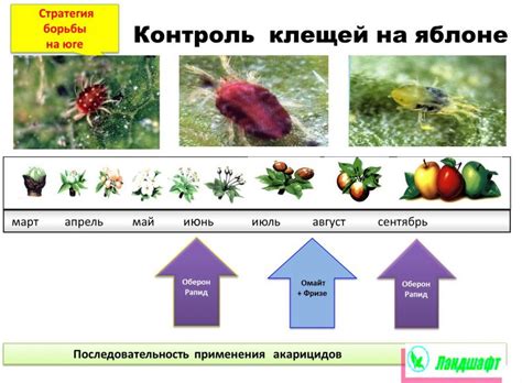 Фунгицид Луна Транквилити: описание препарата, состав, форма выпуска ...