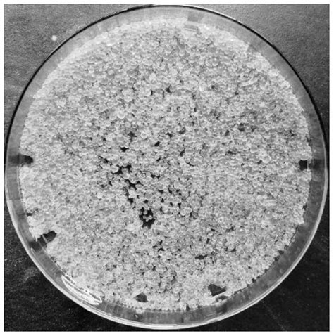 Spherical Bio Based Adsorption Resin Preparation Method And Application Thereof Eureka Patsnap