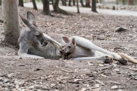 12 Animal Sex Facts You Didnt Want To Know