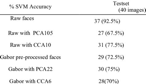 svm classification accuracy of raw faces and gabor pre processed images