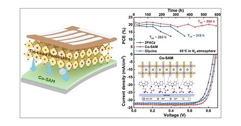 Synergistic Buried Interface Regulation Of Tinlead Perovskite Solar