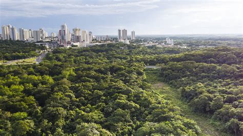 Passeios imperdíveis em Cuiabá Blog Vinhedos