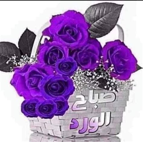 زهور جميلة에 있는 Nasser Ali님의 핀