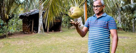 Lerne Wickremasinghe Kennen Fairtrade Original De