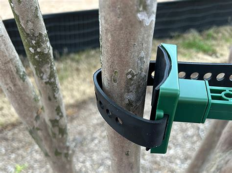 360º Tree Stabilizer Ch Products Llc