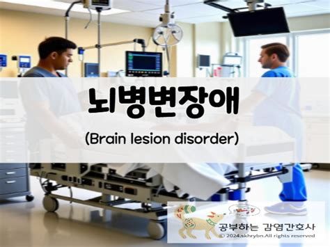 성인간호뇌병변장애brain Lesion Disorder 장애 등급별로 알아보기 1급 6급 판정 기준
