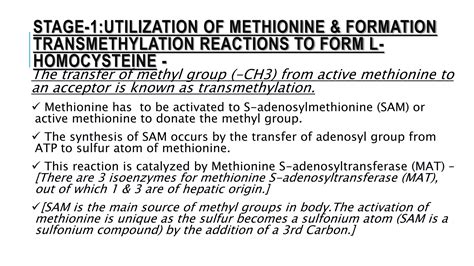 Metabolism Of Methionine Pptx