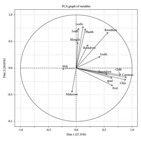Correlation Between Physiological Root System Architecture And