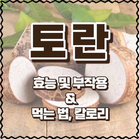 토란 효능 및 부작용 먹는 법 칼로리 독성제