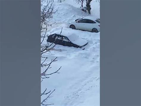 Тг: Жатетский гусь стоил 120₽ #жара #лето #зима #вайны - YouTube