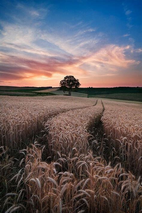 Pin By на край СВЕТА On Природа Nature Photography Beautiful Nature