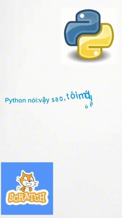 Scratch Và Python Cãi Nhau Shorts Scratch Pythonpythonprogramming