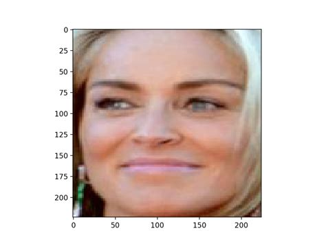How To Perform Face Recognition With Vggface In Keras Aiproblog