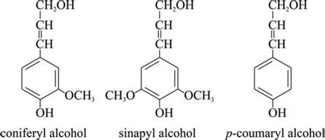 The Typical Aromatic Alcohols As Monomers Of Lignins Download
