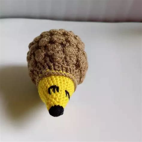 Erizo La Plaza Morada