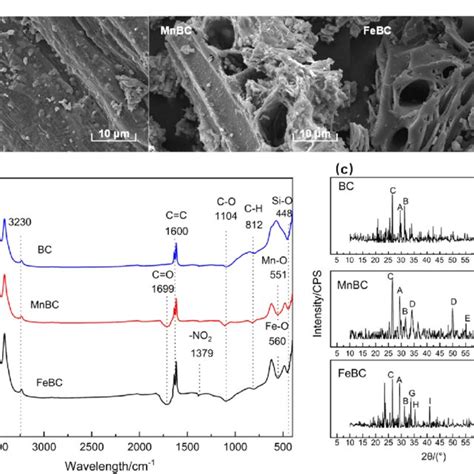 The Sem Eds Images A Ft Ir Spectra B And Xrd Patterns C Of Bc
