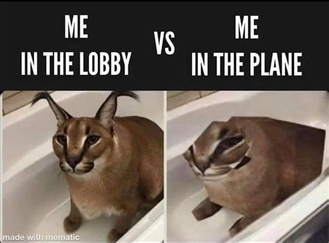 Lel Scrolller Lel Scrolller