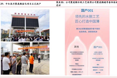 公司聚氨酯水脱工艺使得公司聚氨酯避孕套体验 2024年10月 行业研究数据 小牛行研
