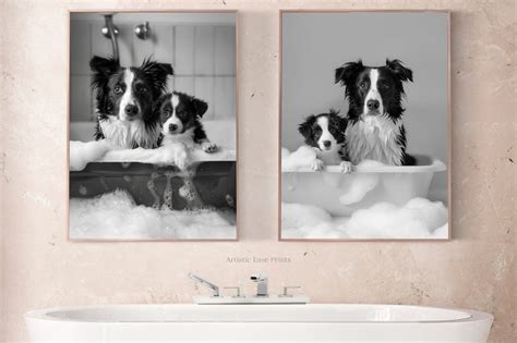 Border Collie Bathroom Art Animal In Bathtub Nursery Animal Print
