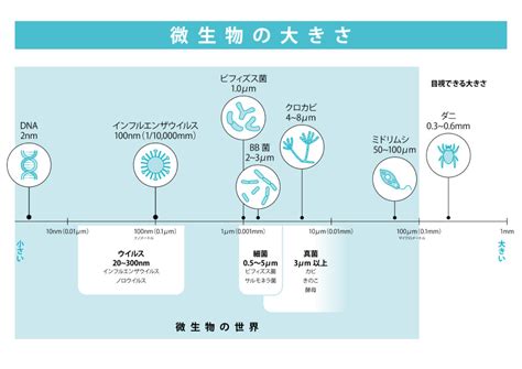 微生物のお話 その1 〜微生物とは？〜 ビッグバイオ