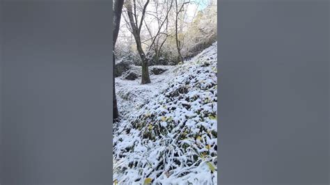 이런건 무조건 담고본다 첫눈풍경 귀여워 모습을 퐁퐁이 나는퐁퐁 삐삐머리 말티즈 양갈래 오늘의 Maltese 그리고 첫눈 구례군 봉성산 Youtube