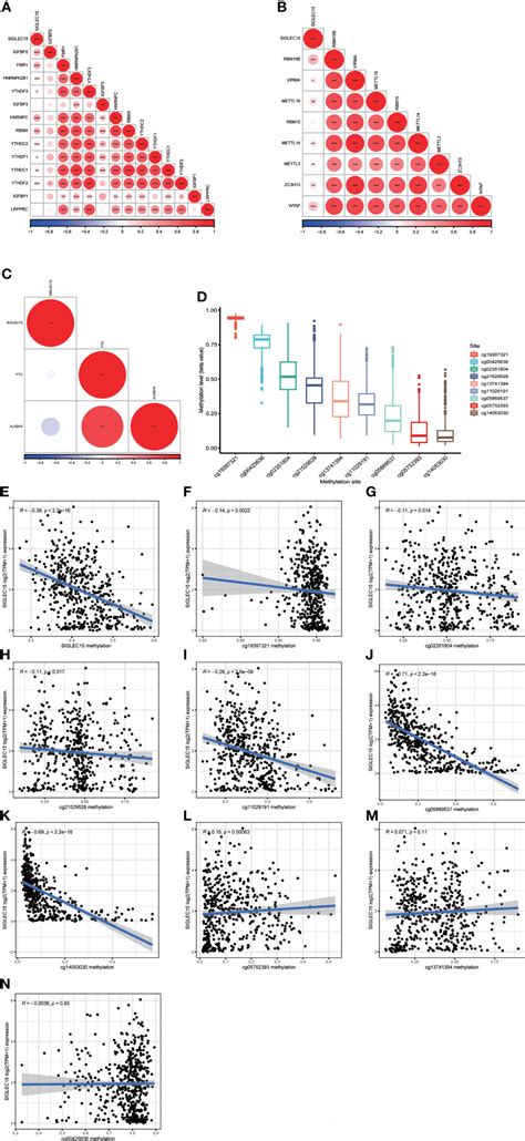 Frontiers Unveiling The Molecular Features Relevant Immune And